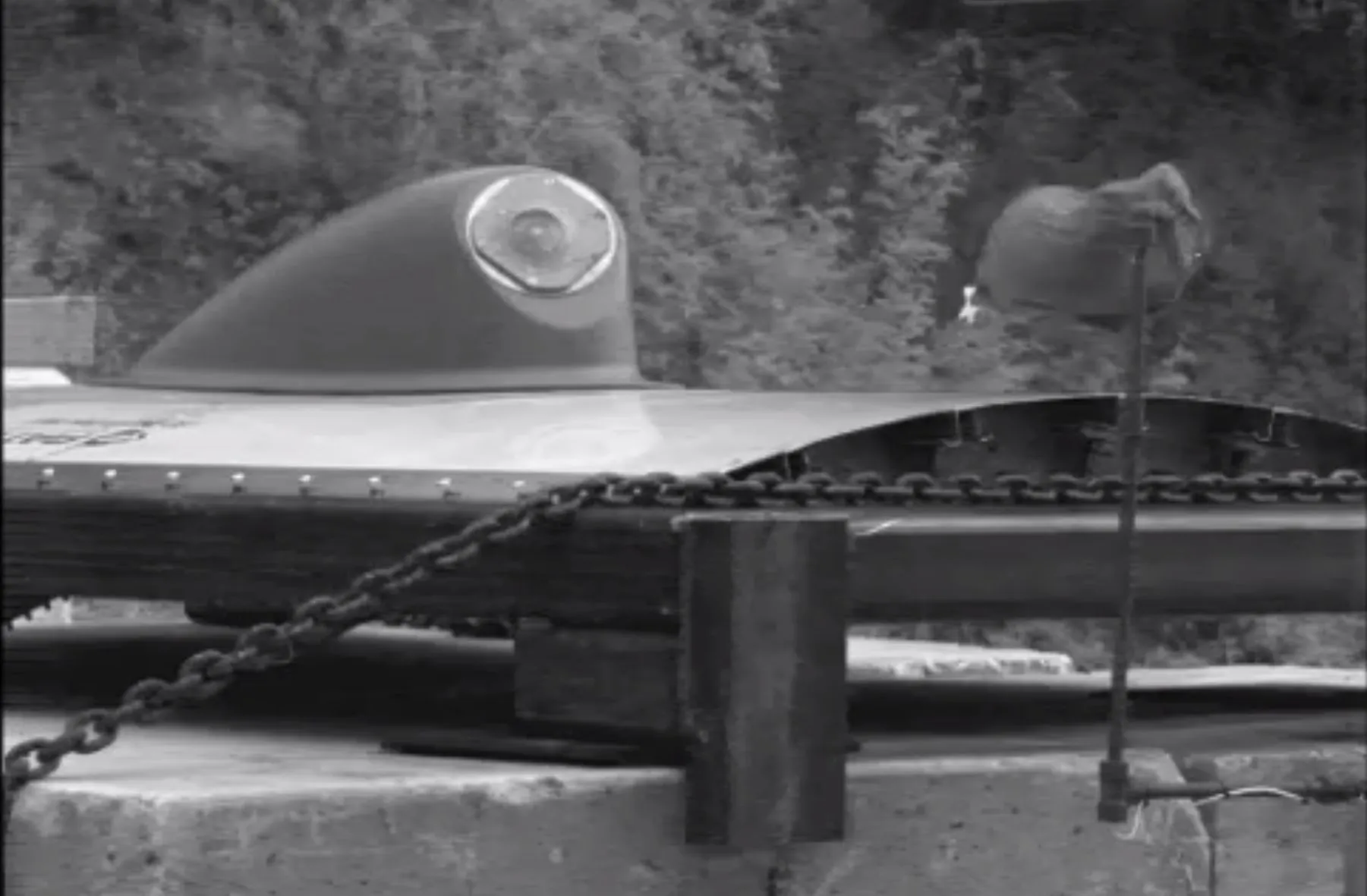 VIDEO: What bird strike testing looks like - Runway GirlRunway Girl