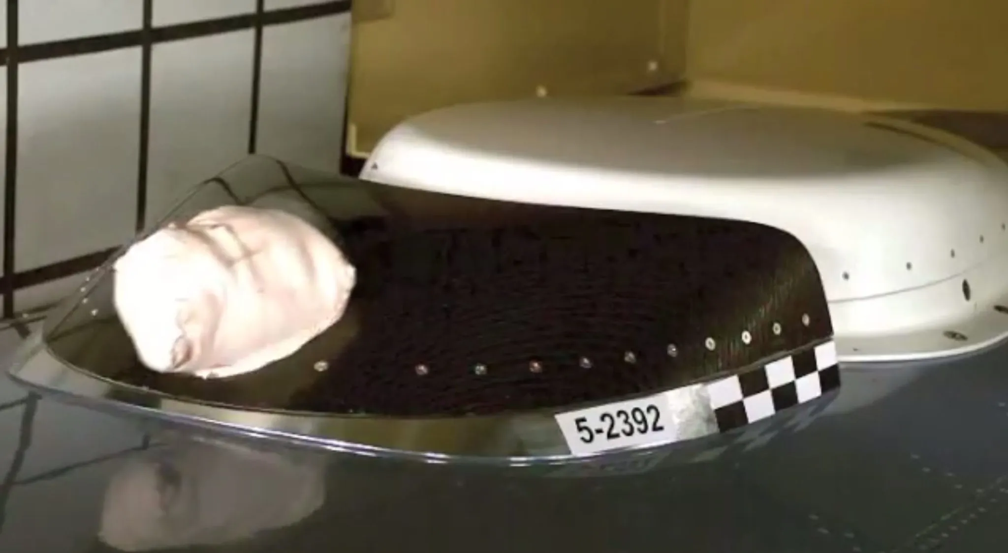 VIDEO: Birds are liquefied by deflection device for aircraft radomes ...