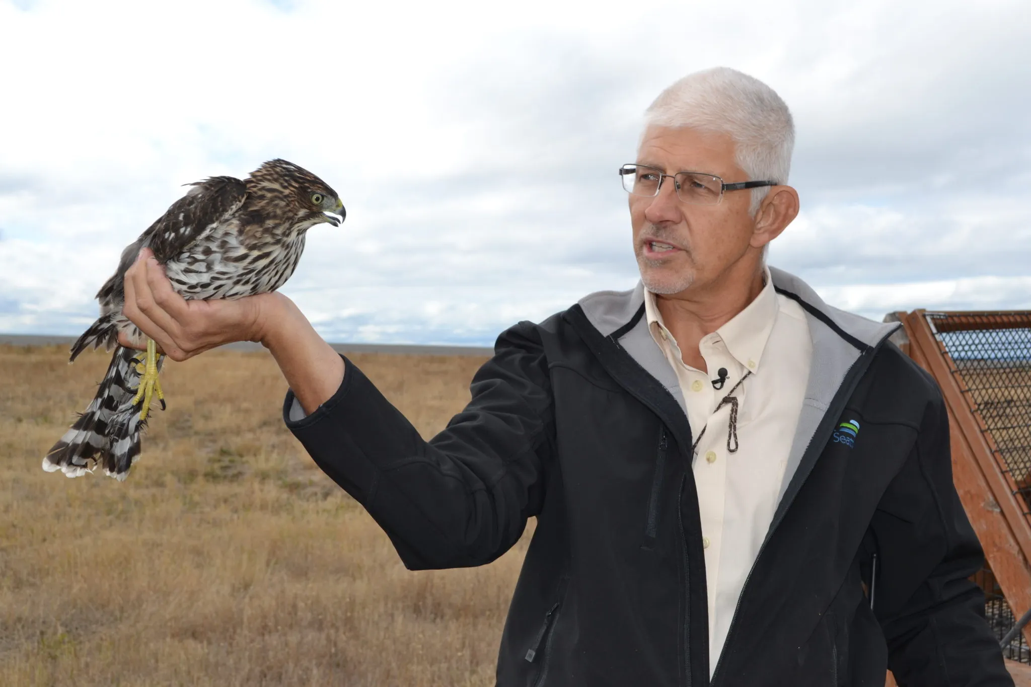 After Sully Effect, birdstrikes decrease as reporting increases ...