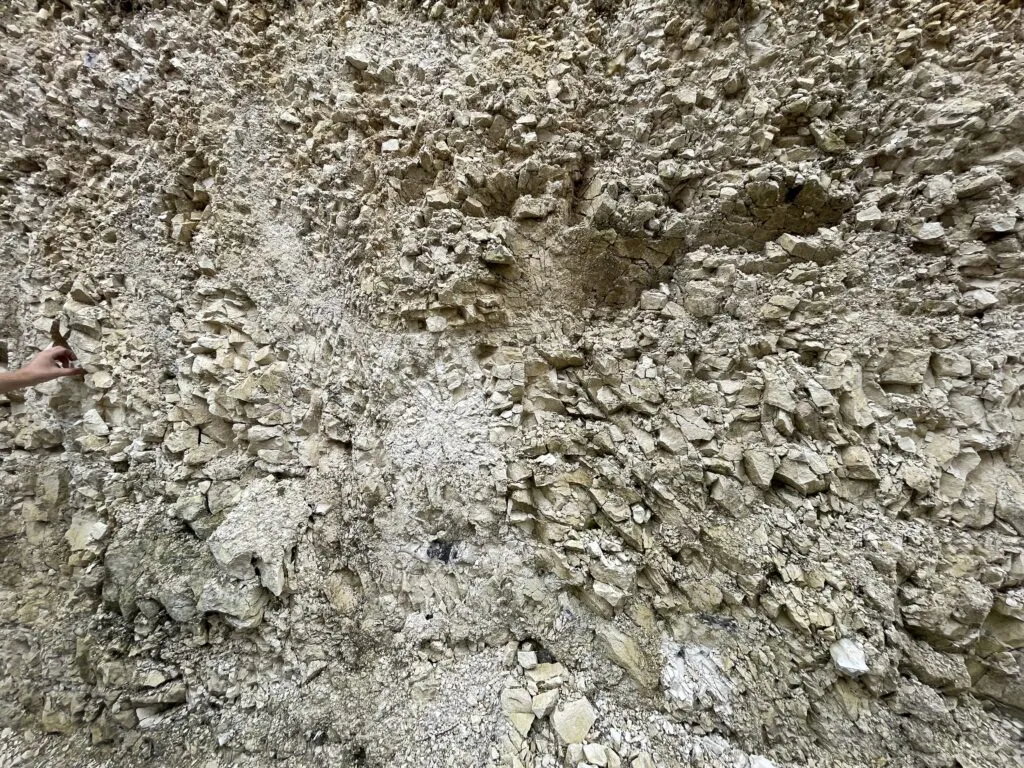 At Hambledon, English sparkling wine asks a tough question - Runway ...