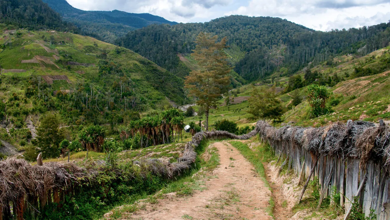 Jetcraft eyes carbon neutrality with offsetting experts AzzeraRunway Girl