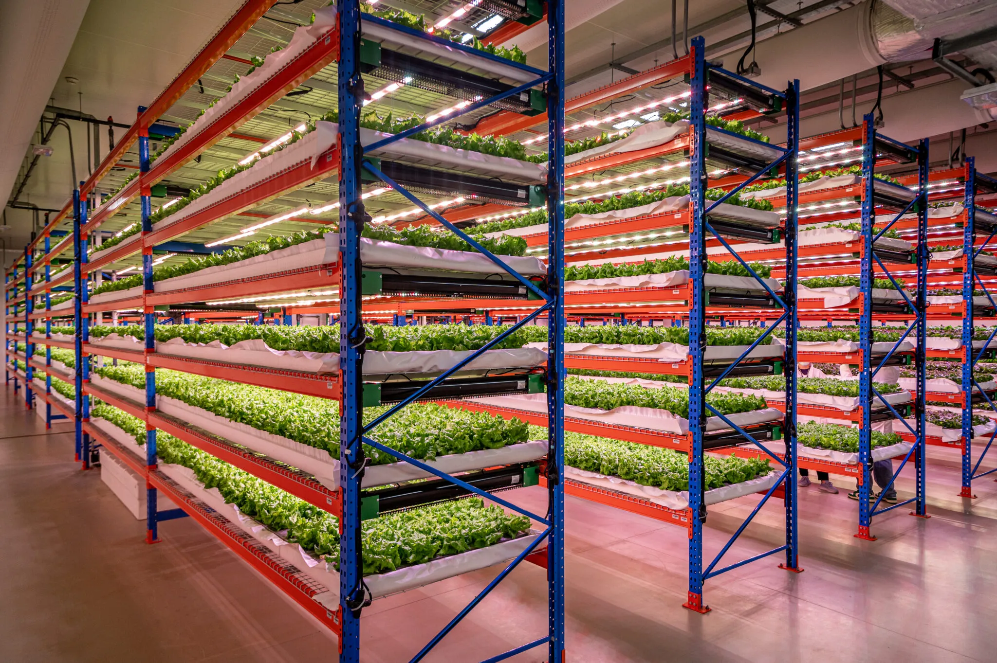 Press Release: Emirates acquires world’s largest indoor vertical farm ...