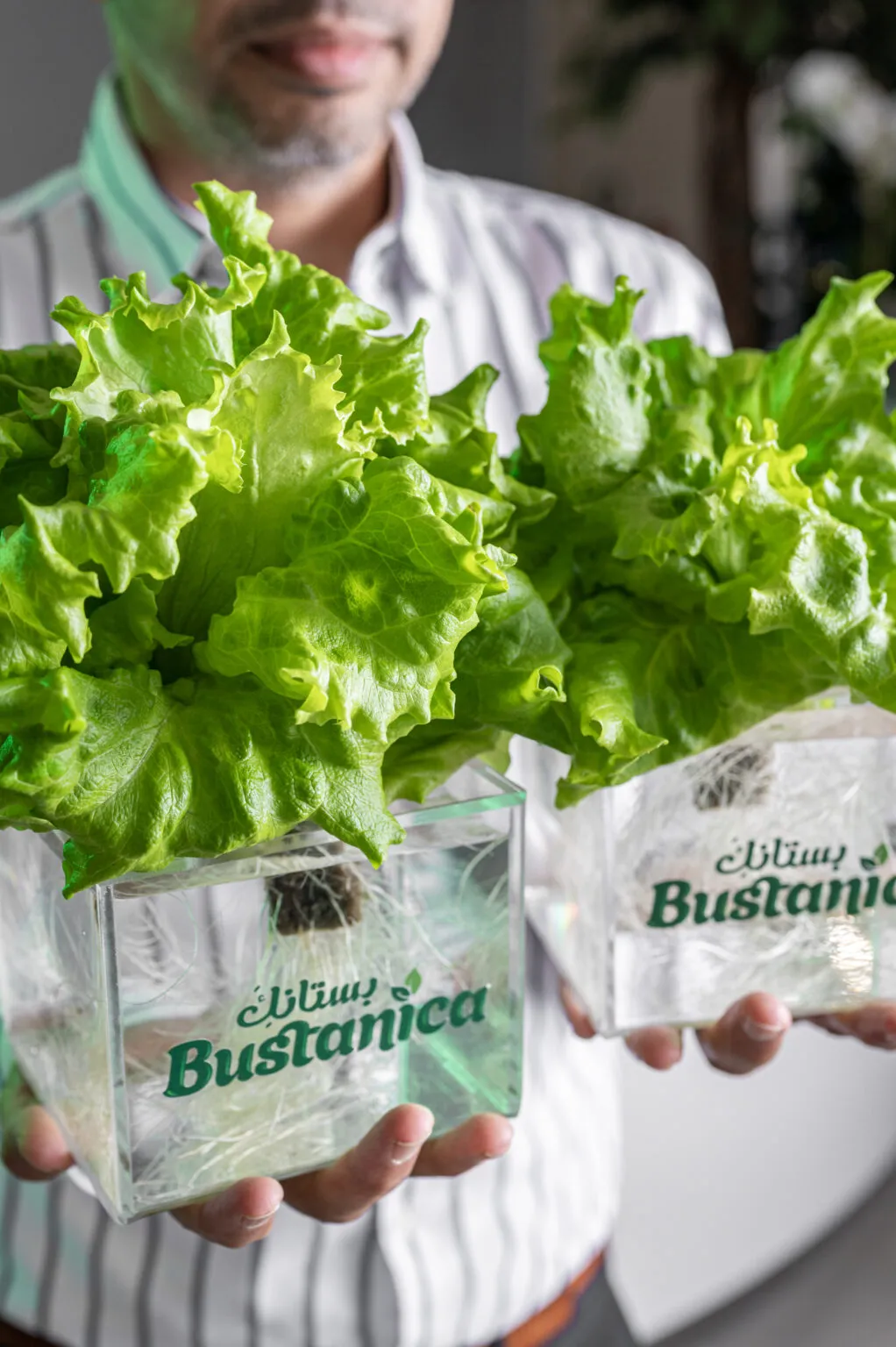 Press Release: Emirates acquires world’s largest indoor vertical farm ...