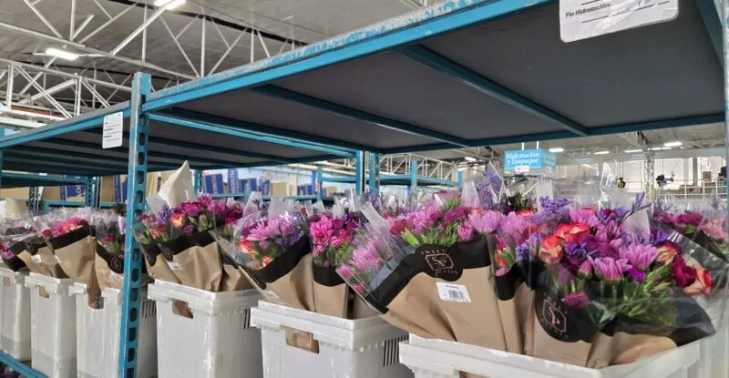 Press Release: Avianca Cargo becomes top flower carrier on key ...