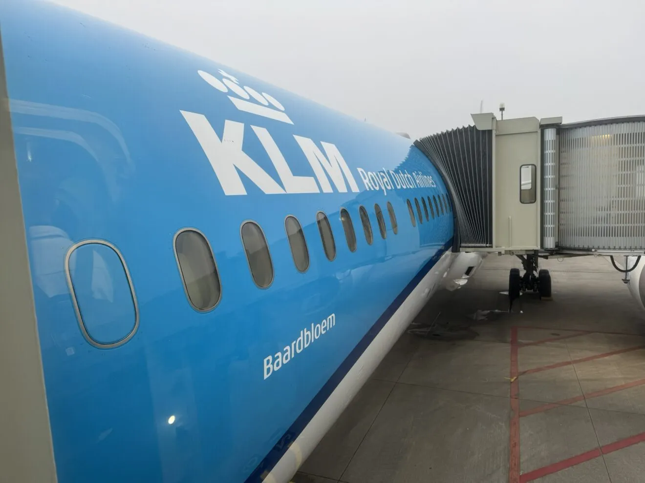 Last minute upgrade to KLM business on 787-10 proves worth it - Runway ...